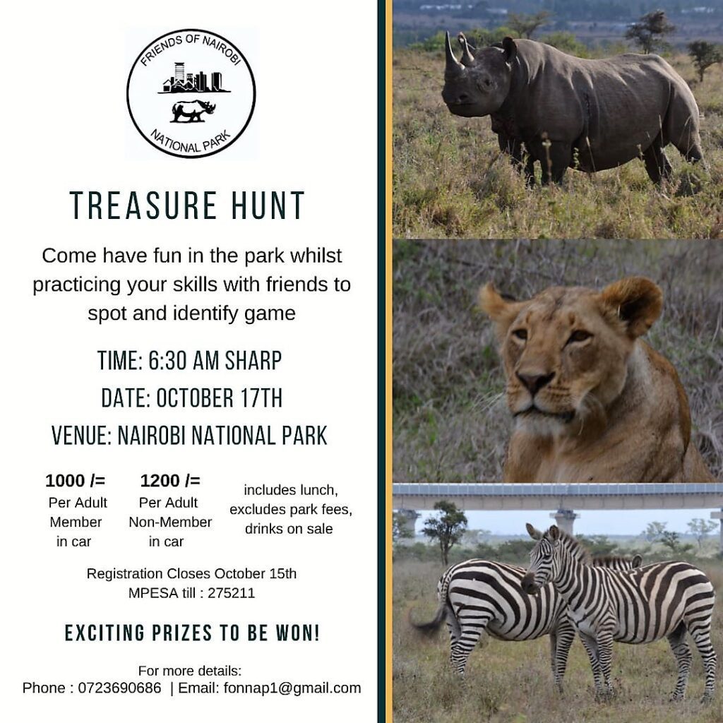 FoNNaP's Treasure Hunt On 17th Of October - H&S Magazine Kenya