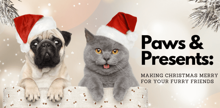 Paws And Presents: Making Christmas Merry For Your Furry Friends - H&S ...